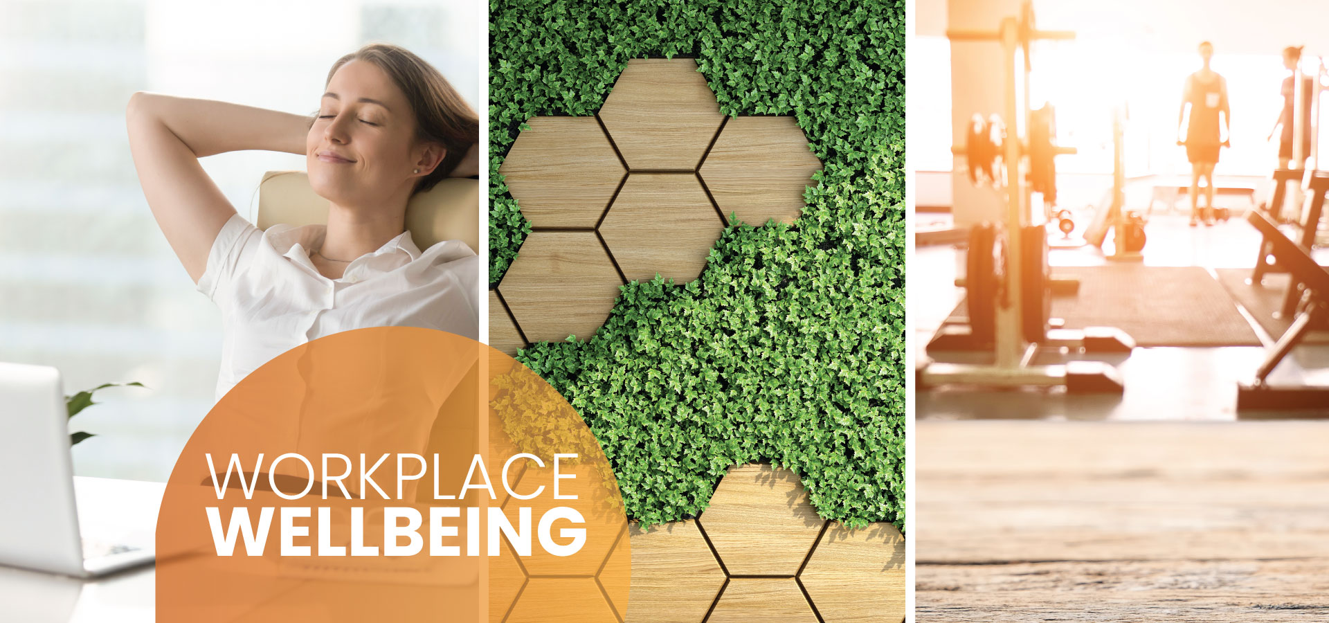 Designing Healthy, Productive Workspaces | Mayhew