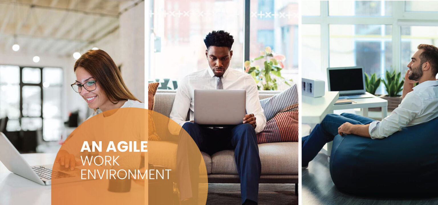 Creating an Agile Work Environment - Mayhew